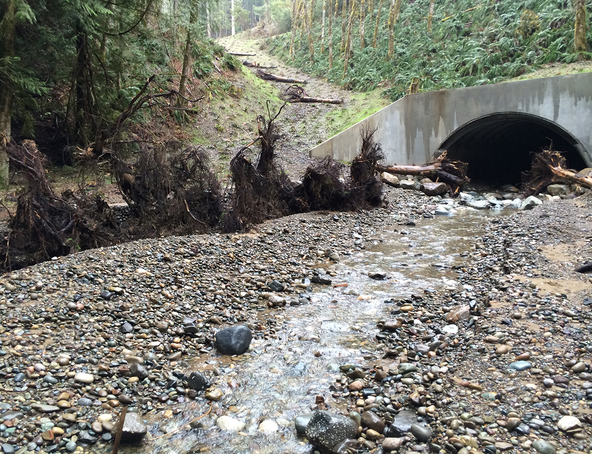 Award Winning – Shelton-Bangor-Bremerton Railroad Fish Culvert ... Award Winning – Shelton-Bangor-Bremerton Railroad Fish Culvert ...